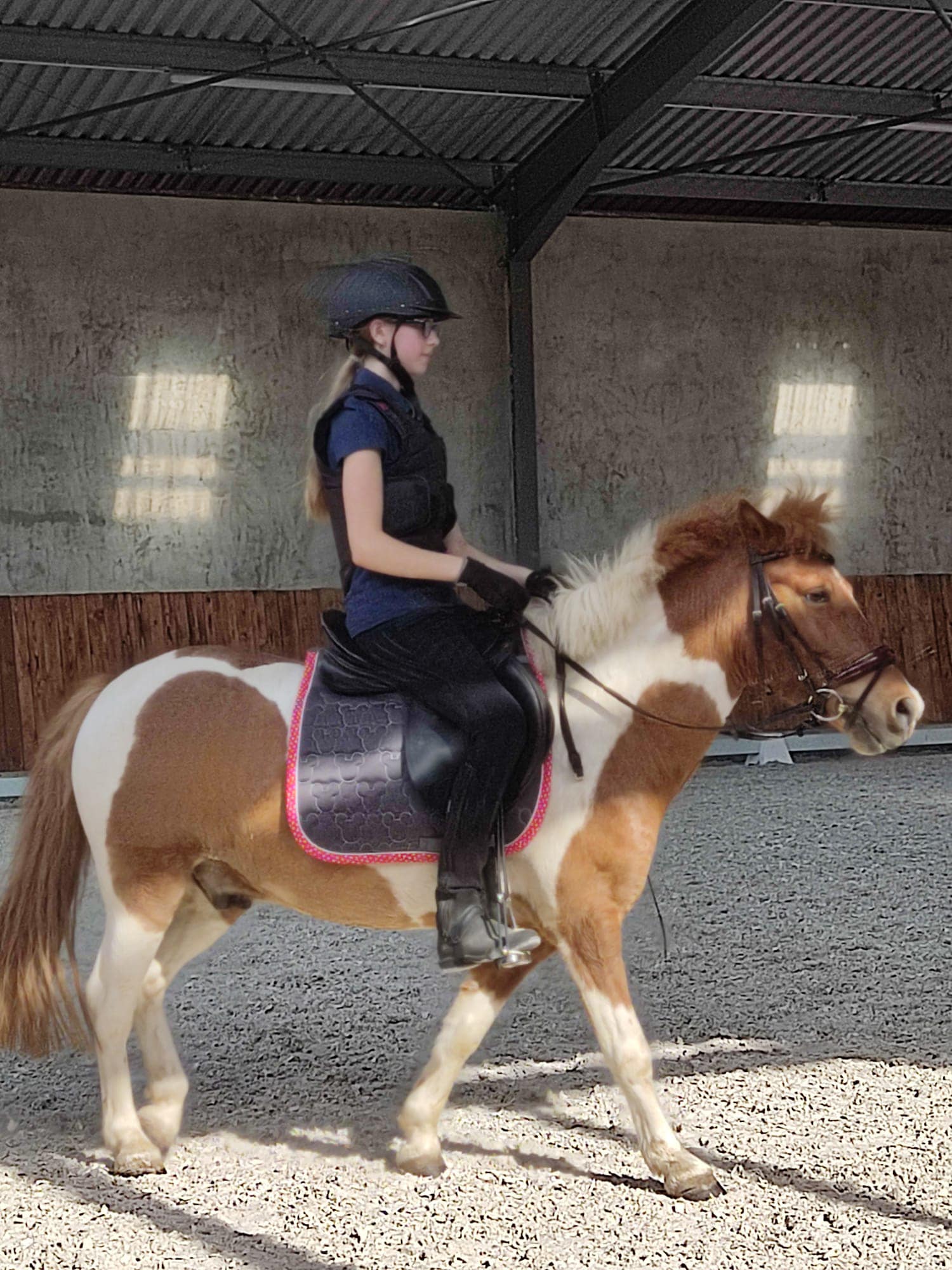 Koudy - EquiDressage CZ